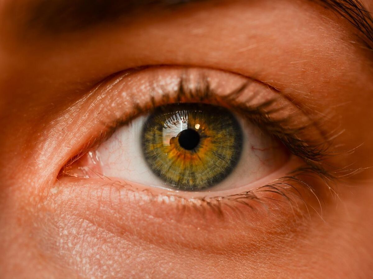 Olhos Cor De Ambar Em Humanos Essa Cor Acende Muuuuito Olhos