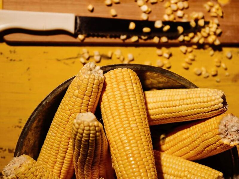 Milho: da história à culinária; saiba mais sobre o ingrediente ...