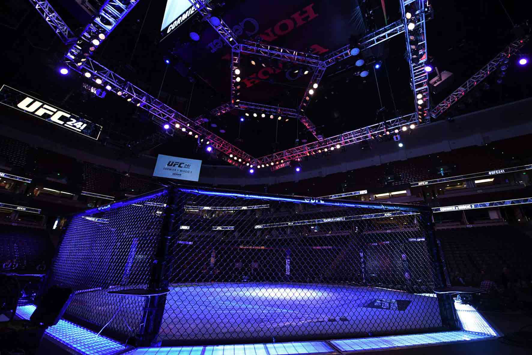 Brasileiros podem quebrar recordes de campeões no UFC neste ano - Folha PE